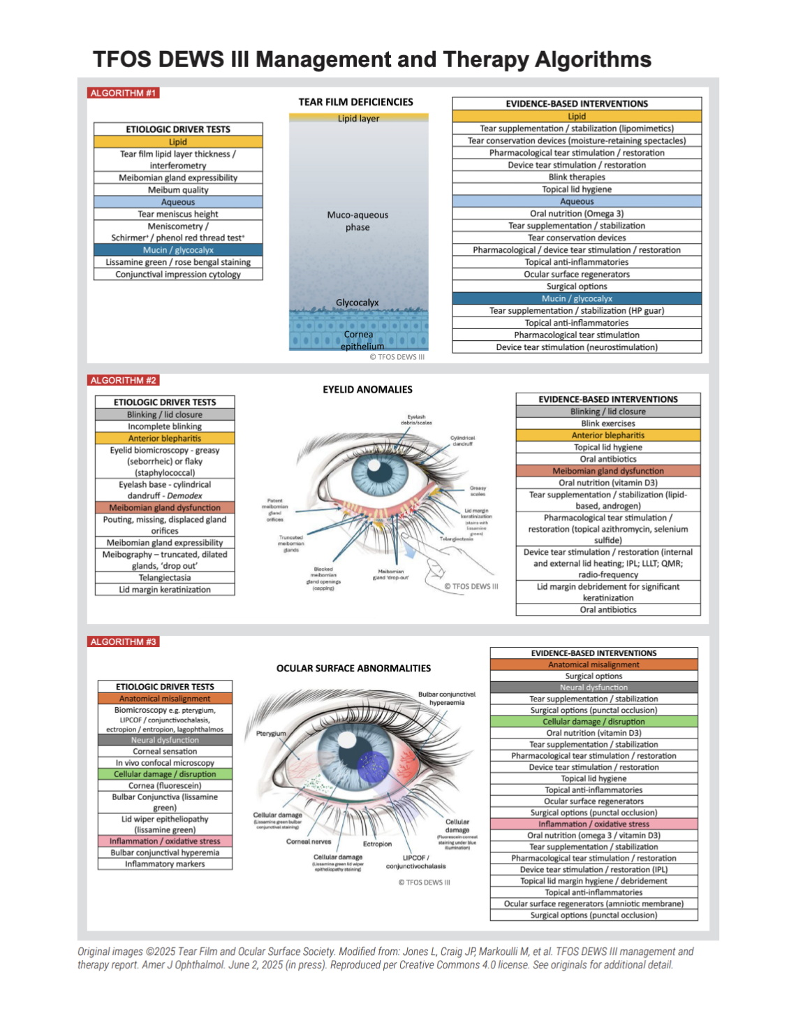 El informe sobre el tratamiento TFOS DEWS III detalla todas las ...